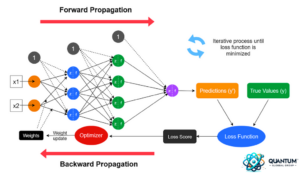 Understanding Neural Networks: Their Function & Importance